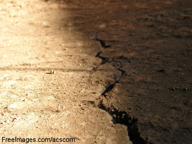 Mind the learning gap – Cindy Potvin